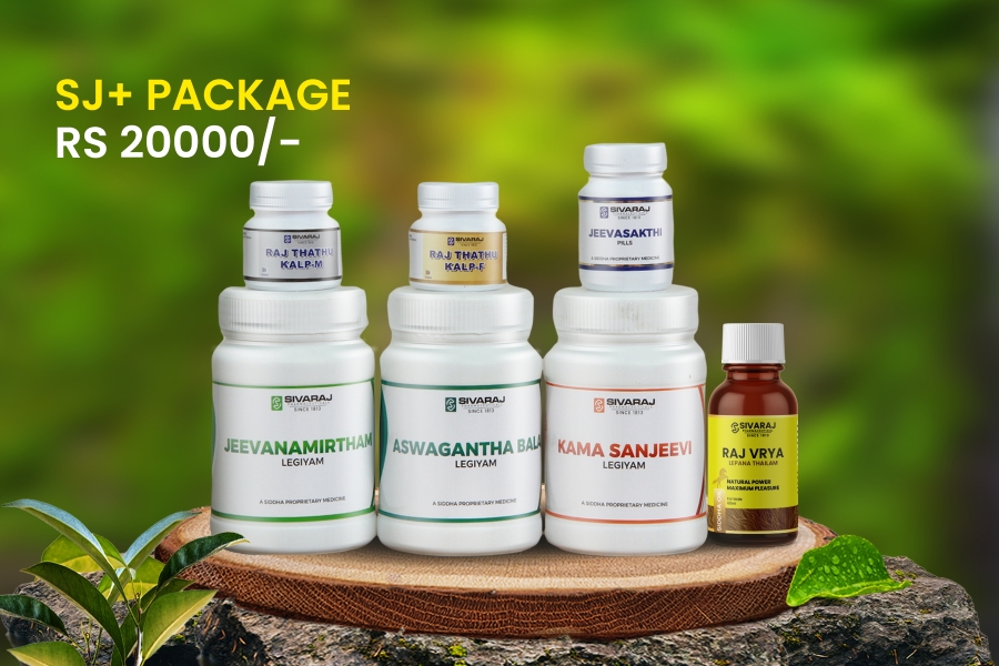 Best Siddha Medicines and Treatments in India | Traditional Siddha ...